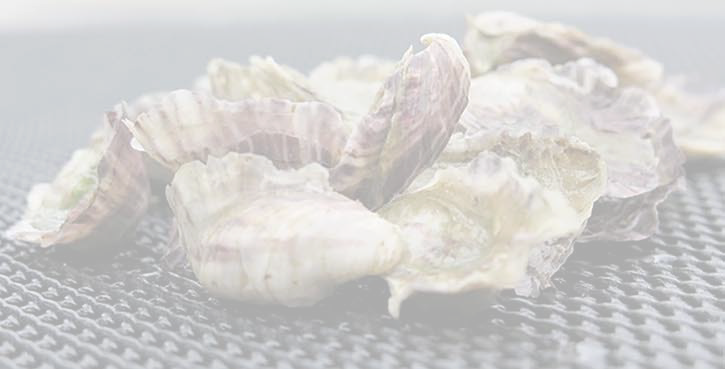 JP2M I Acceuil I Négoce Européen de coquillages