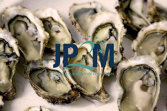JP2M I Acceuil I Négoce Européen de coquillages